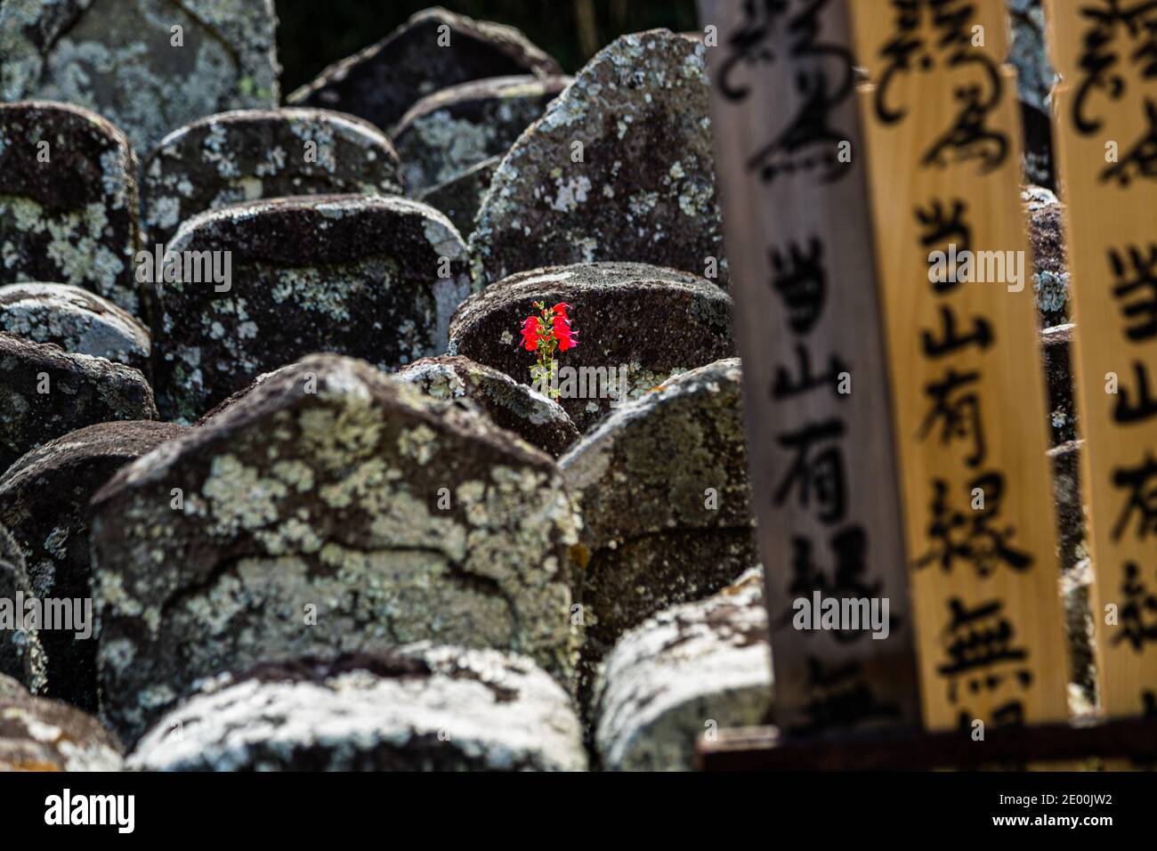 Japanese stone arch hi-res stock photography and images - Alamy