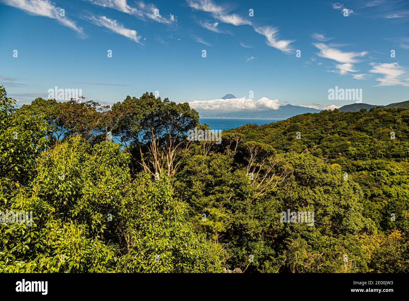 Izu peninsula fuji hi-res stock photography and images - Alamy