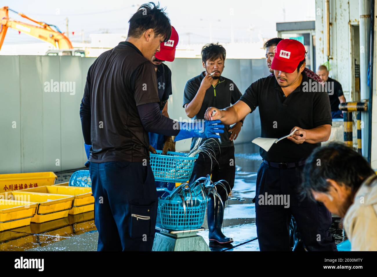 Fish Auction in Yaidu, Japan Stock Photo - Alamy
