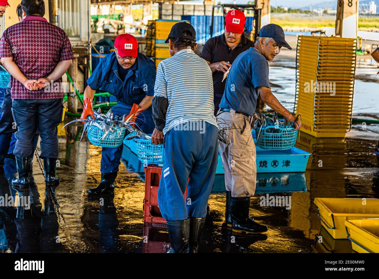 Fish Auction in Yaidu, Japan Stock Photo - Alamy