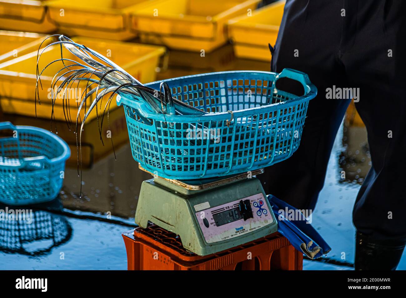 Fish Auction in Yaidu, Japan Stock Photo - Alamy