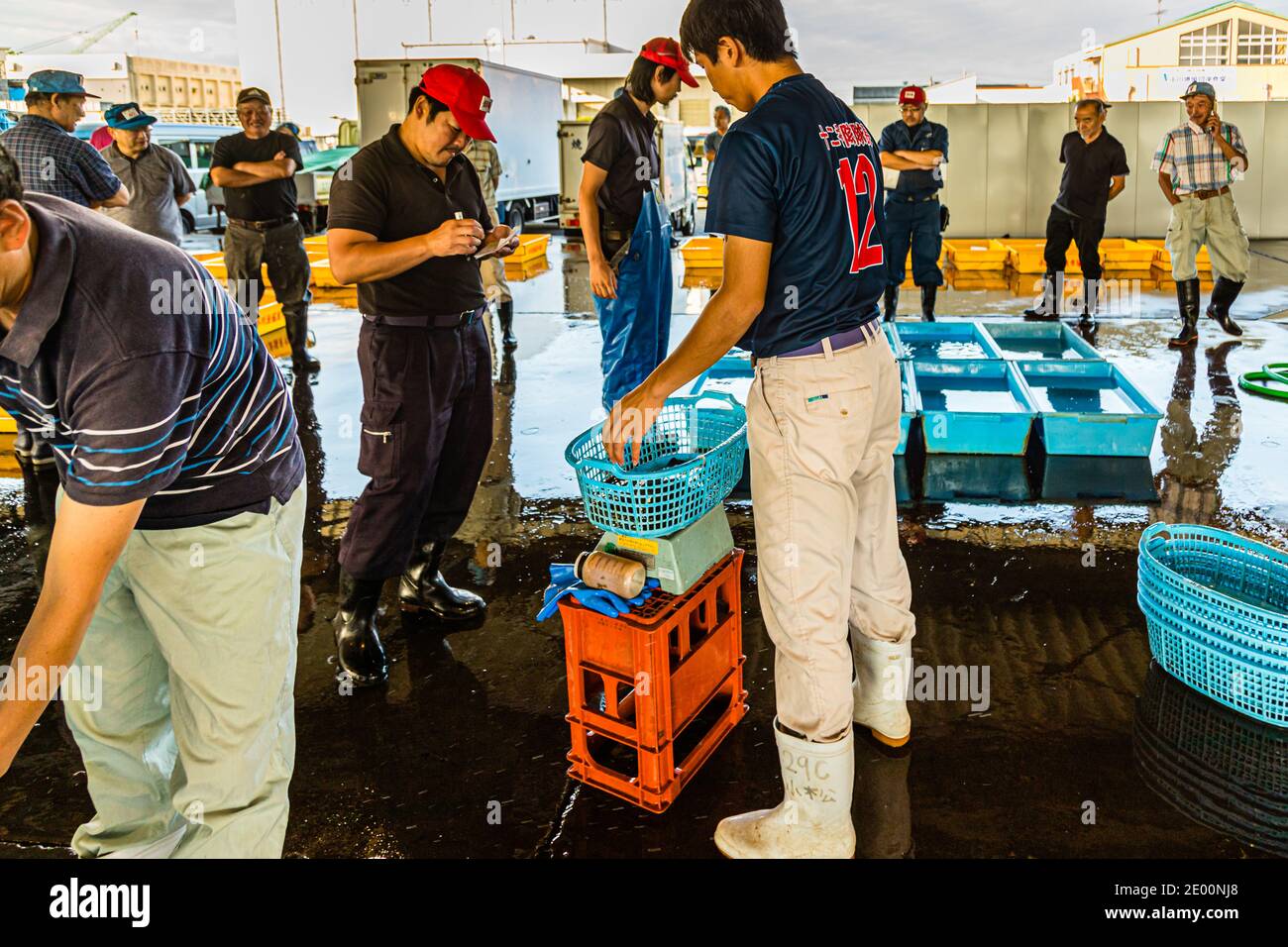 Fish Auction in Yaidu, Japan Stock Photo - Alamy