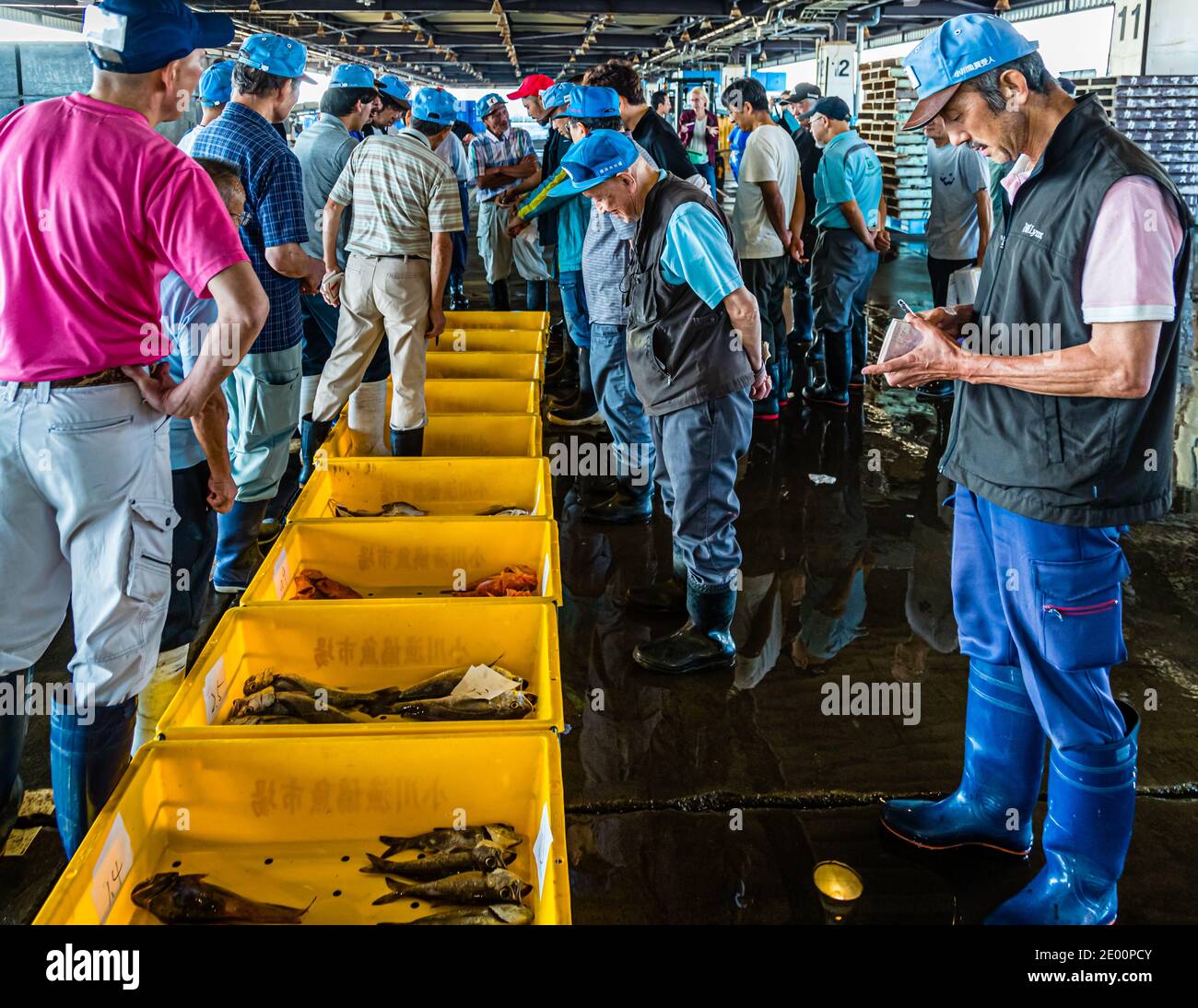 Fish Auction in Yaidu, Japan Stock Photo - Alamy