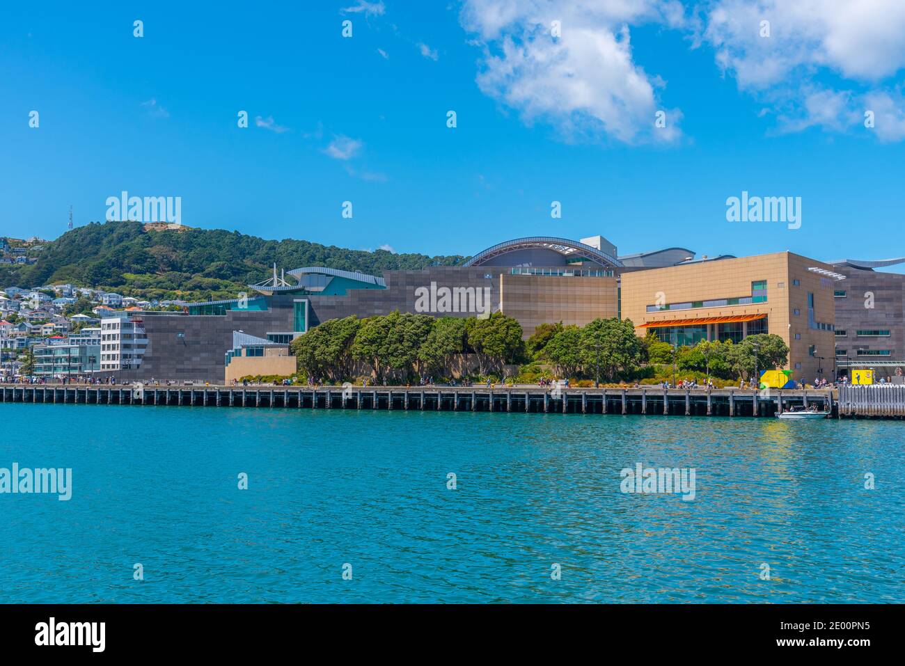 Museum of New Zealand Te Papa Tongarewa in Wellington, New Zealand ...