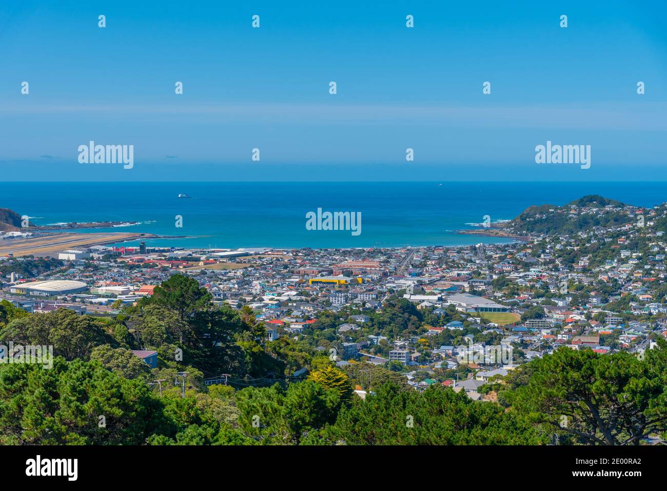 Aerial view of suburb of Wellington in New Zealand Stock Photo - Alamy