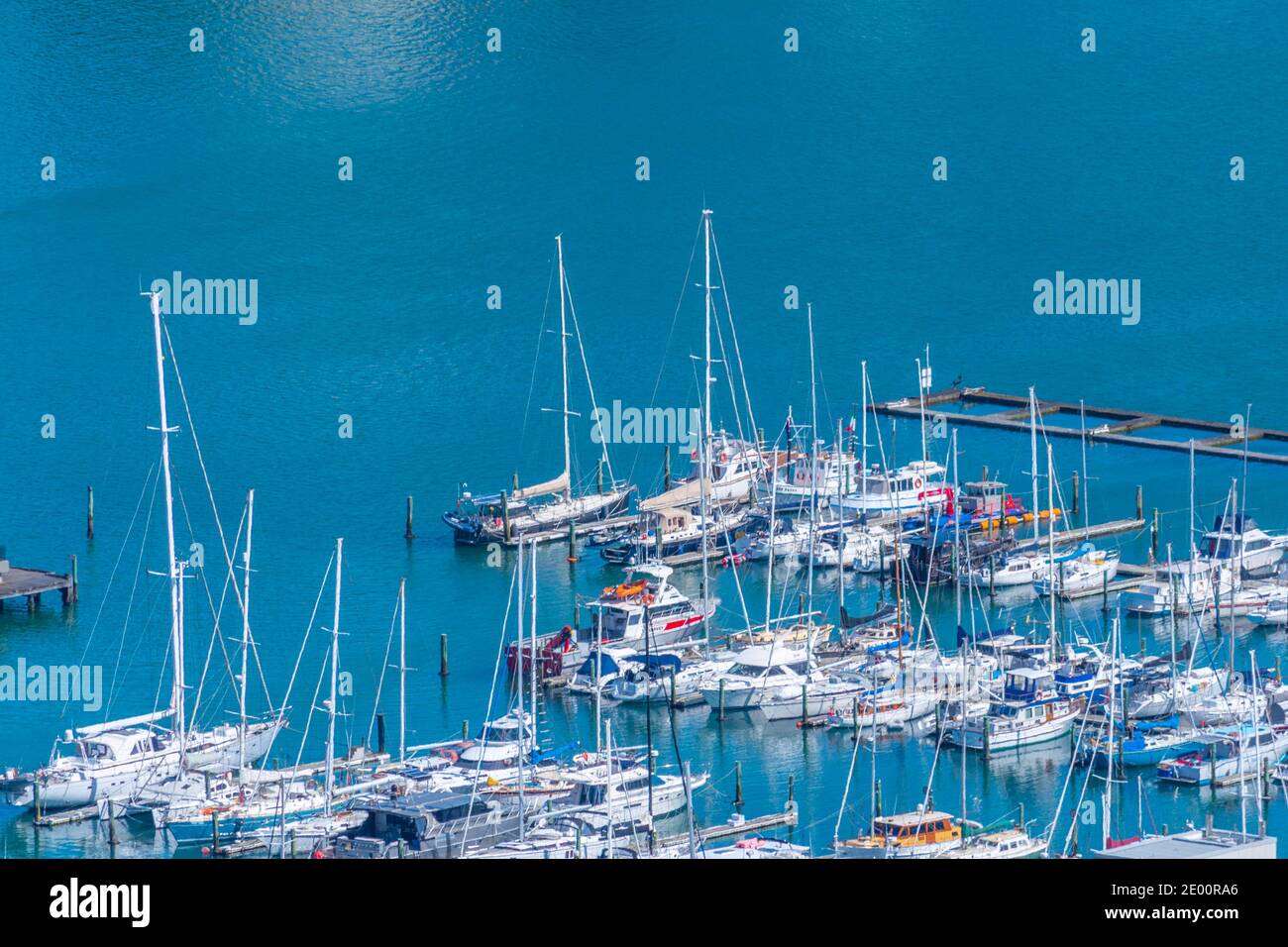 Marina in Wellington, New Zealand Stock Photo - Alamy