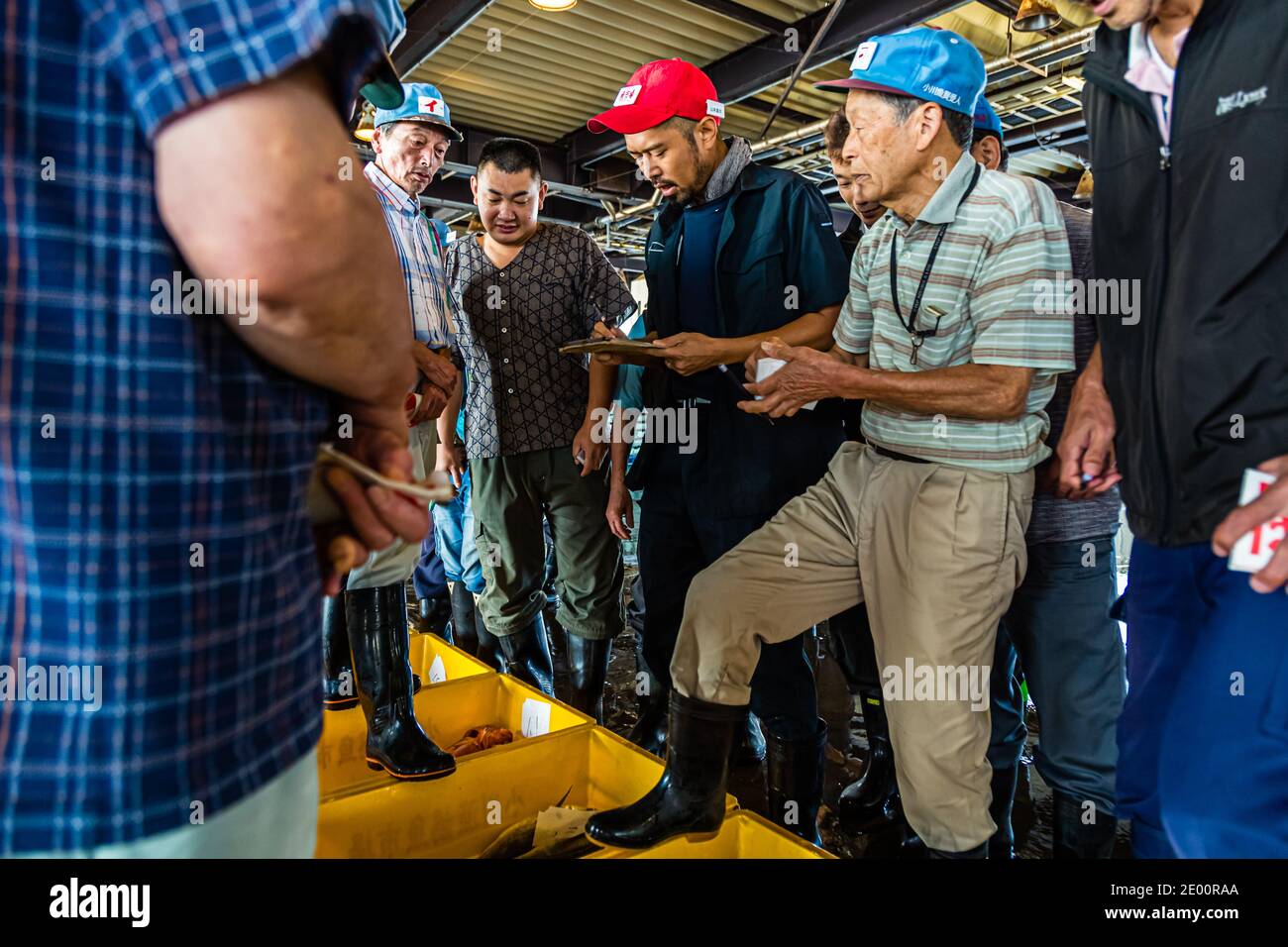 Fish Auction in Yaidu, Japan Stock Photo - Alamy