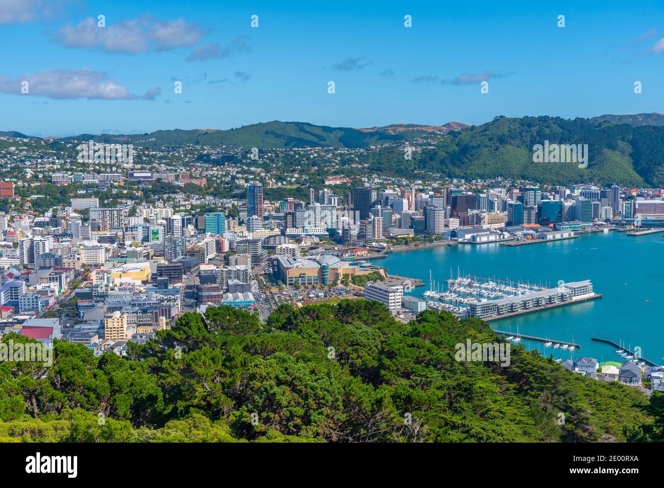 Aerial view of Wellington, New Zealand Stock Photo - Alamy