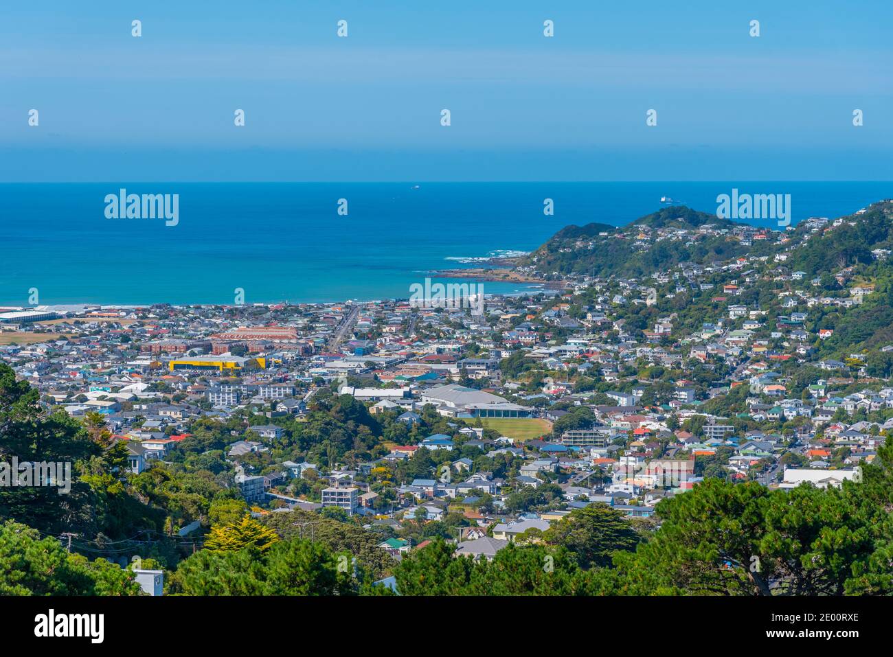 Aerial view of suburb of Wellington in New Zealand Stock Photo - Alamy