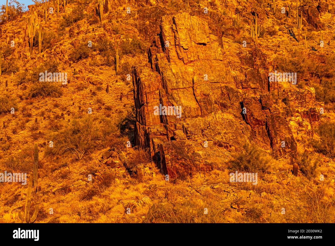 A large rock at the desert Phoenix Mountain Preserve in Arizona Stock ...