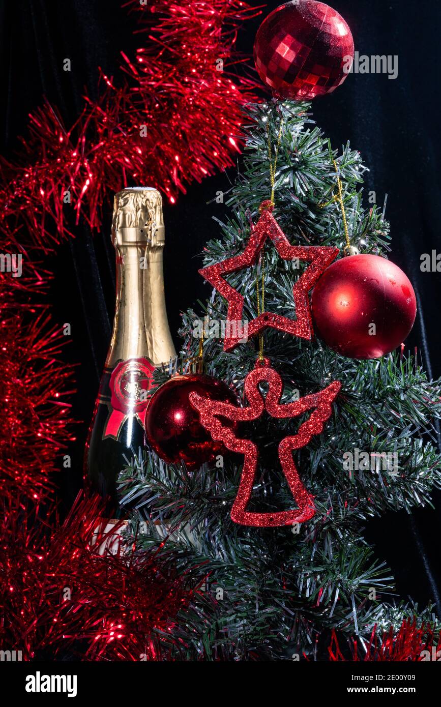 Bottle of champagne and small artificial Christmas tree on dinner table ...