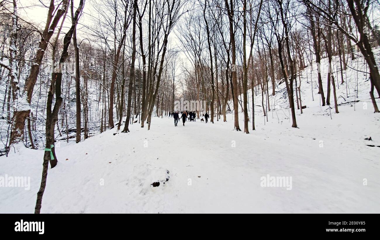 Nature trails toronto hi-res stock photography and images - Alamy