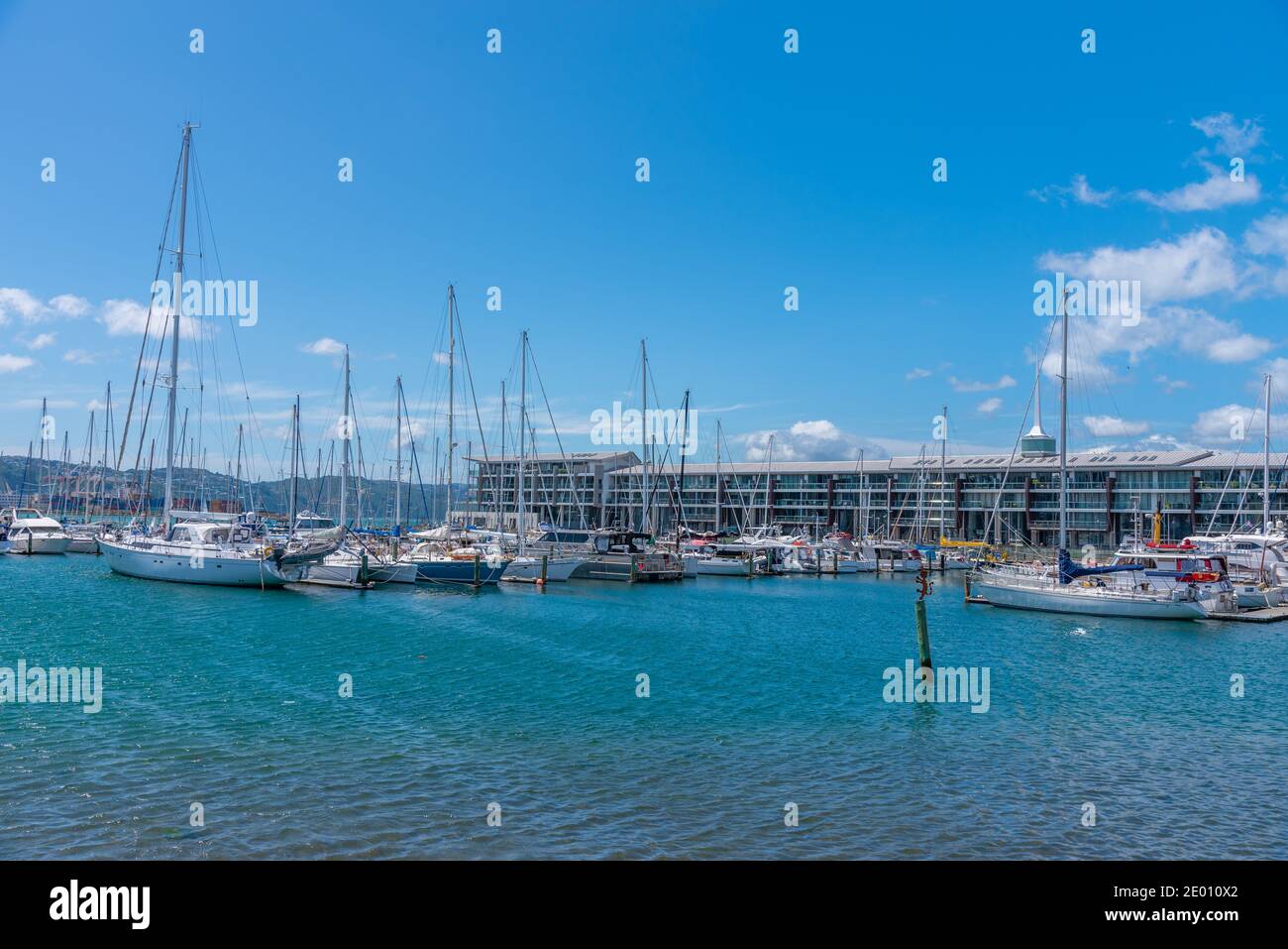 Marina in Wellington, New Zealand Stock Photo - Alamy