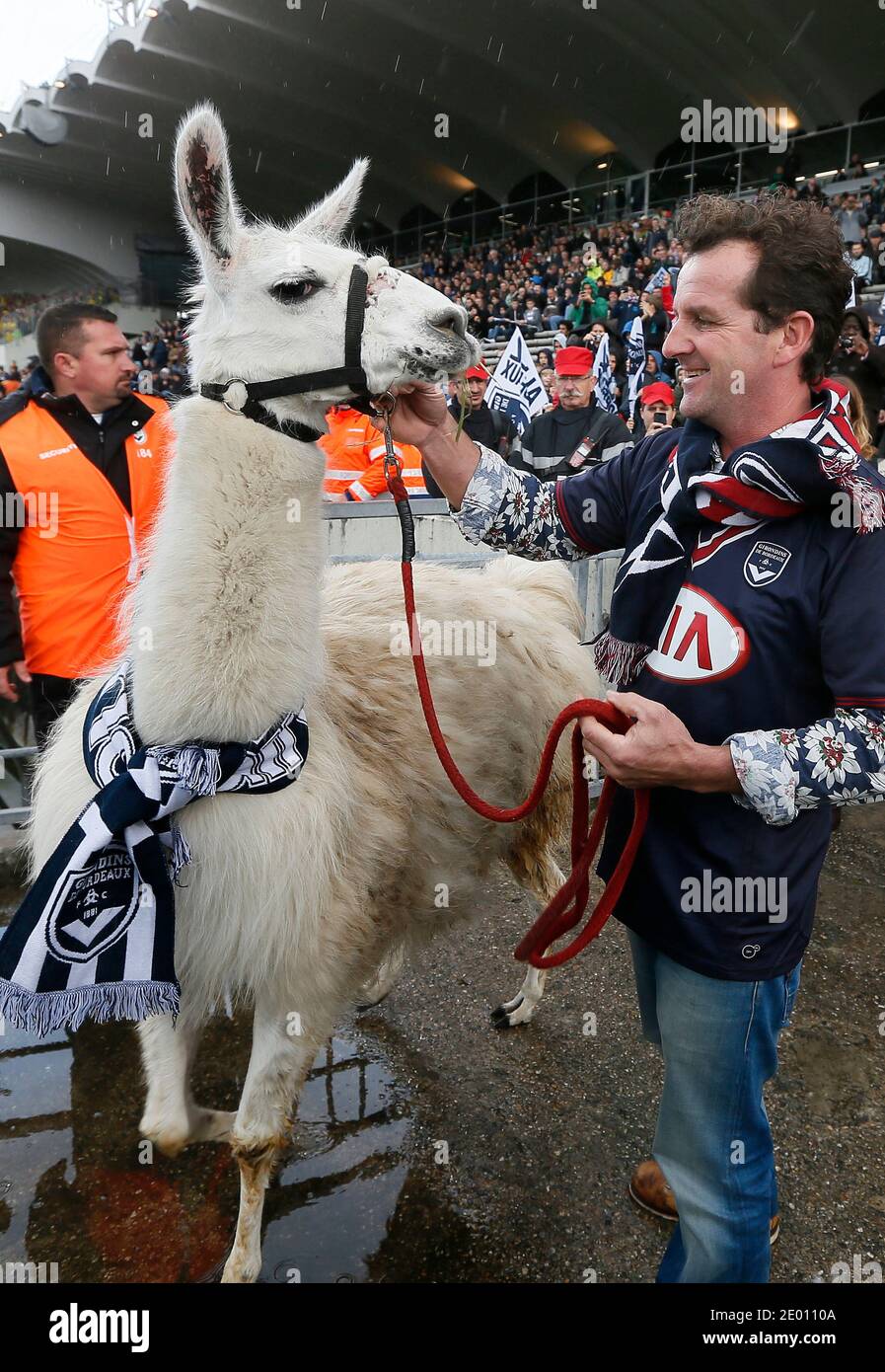 The famous Llama 'Serge Le Lama', the circus director John Beautour and ...