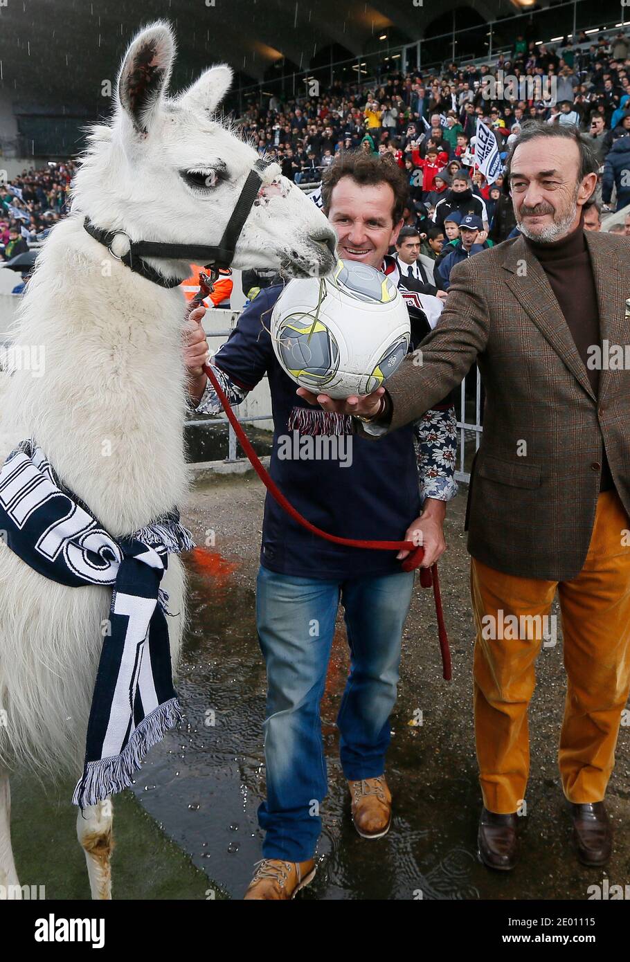 The famous Llama 'Serge Le Lama', the circus director John Beautour and ...