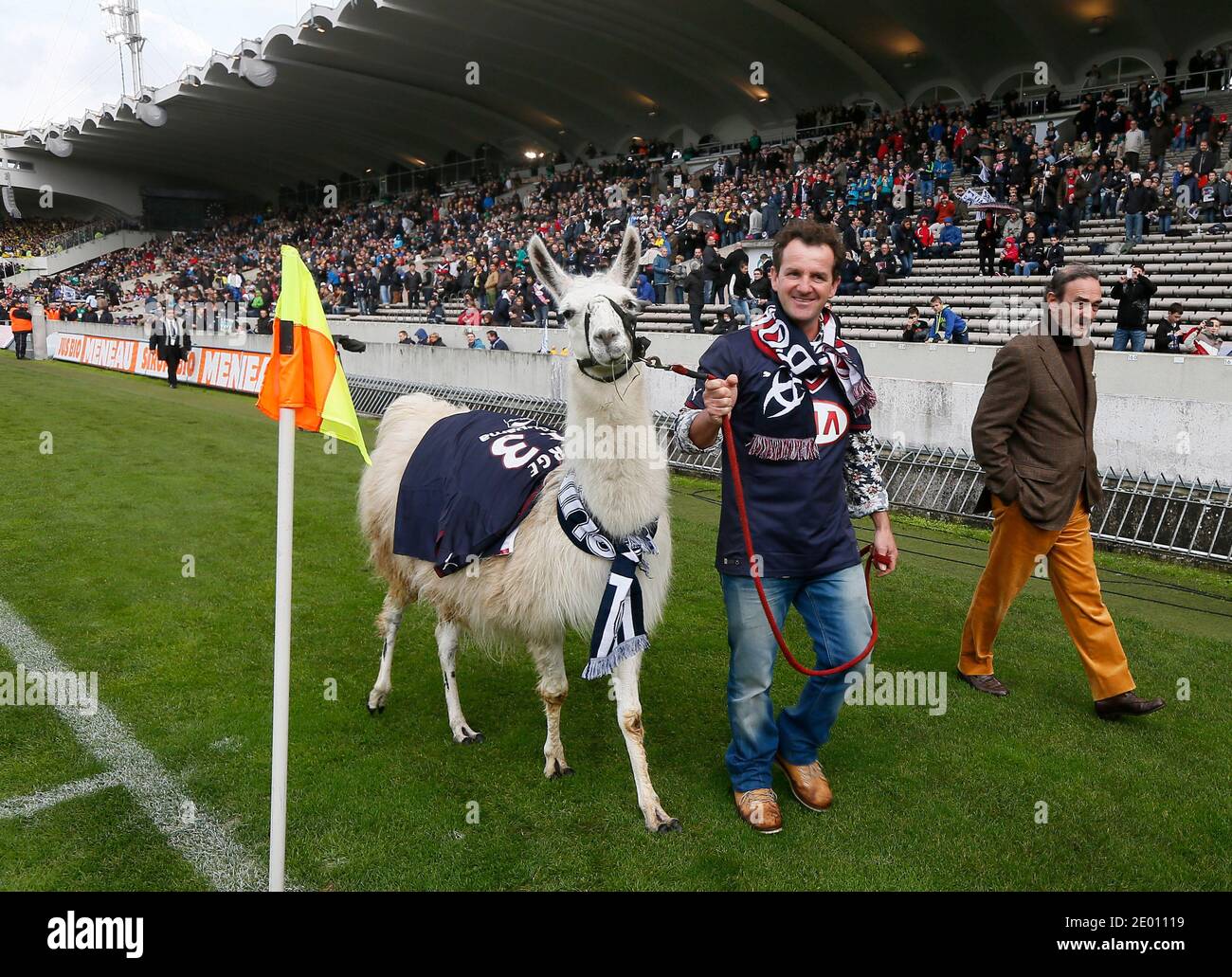 The famous Llama 'Serge Le Lama', the circus director John Beautour and ...