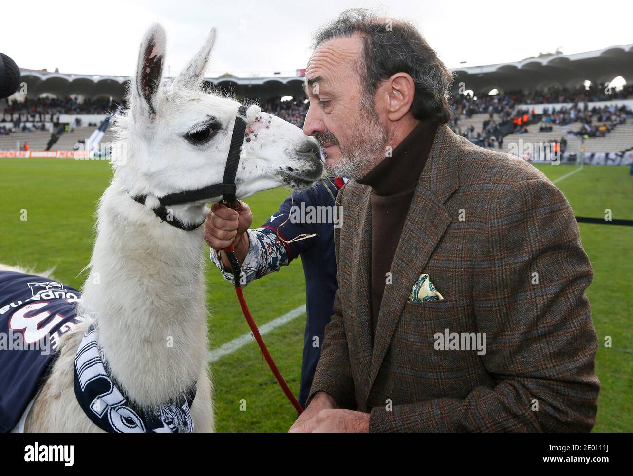 The famous Llama 'Serge Le Lama', the circus director John Beautour and ...