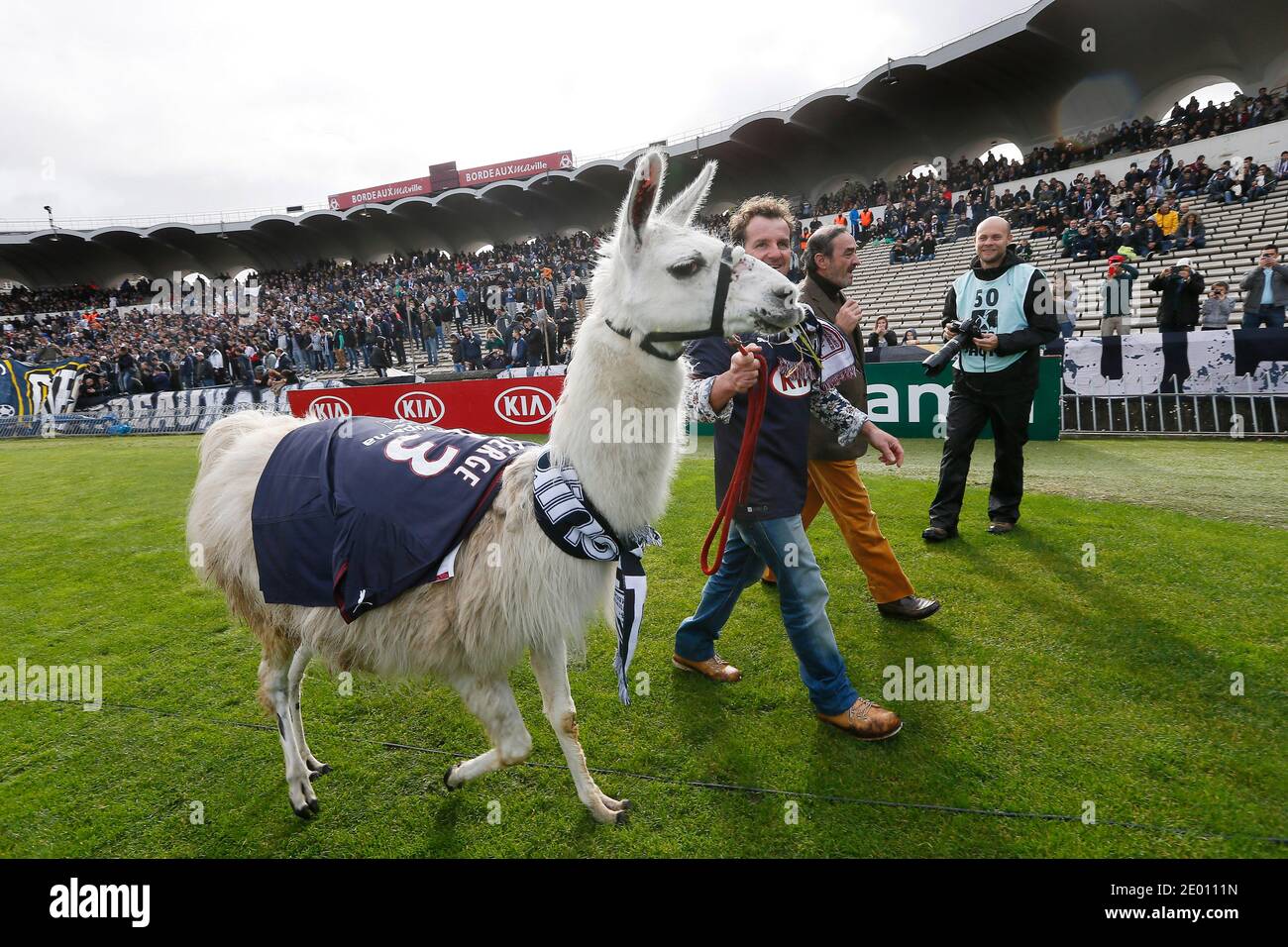 The famous Llama 'Serge Le Lama', the circus director John Beautour and ...