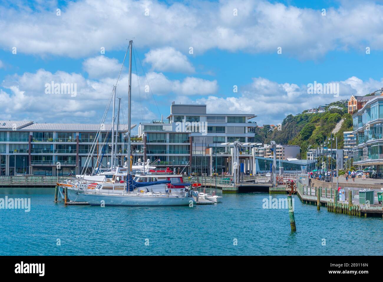 Marina in Wellington, New Zealand Stock Photo - Alamy