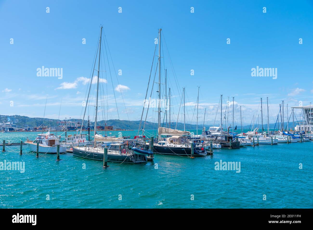 Marina in Wellington, New Zealand Stock Photo - Alamy