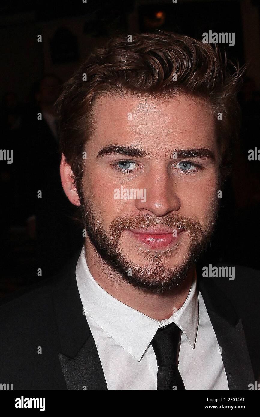 Liam Hemsworth attends the premiere for the film The Hunger Games ...