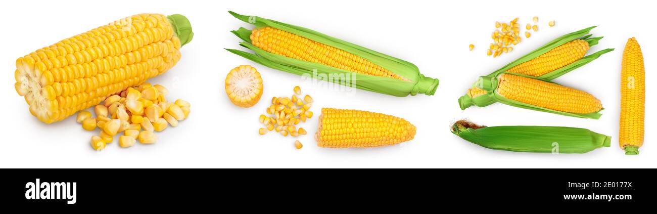 ear of corn isolated on a white background. Clipping path and full ...