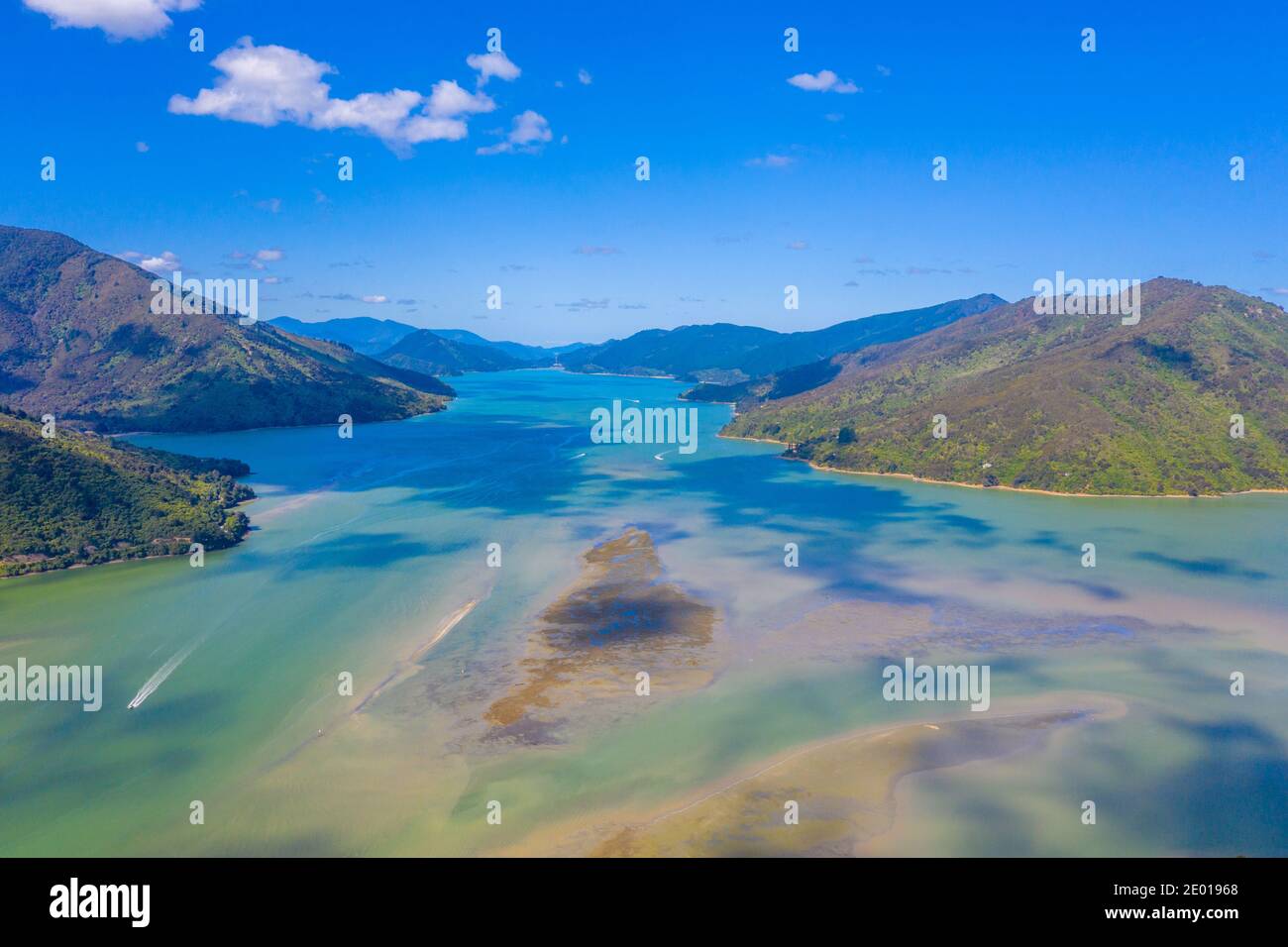 Pelorus sound in New Zealand Stock Photo - Alamy