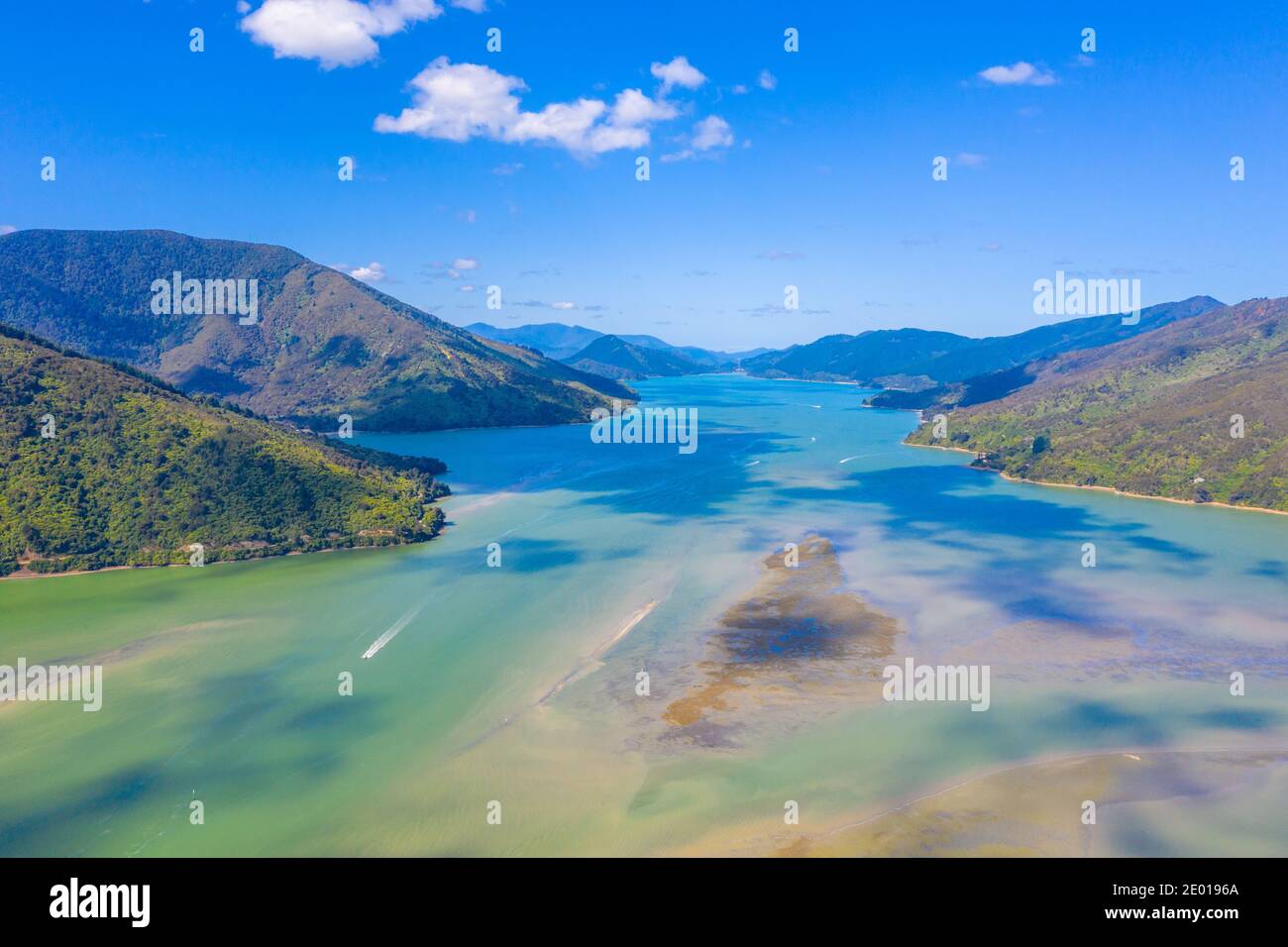 Pelorus sound in New Zealand Stock Photo - Alamy