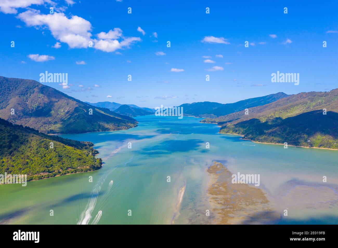 Pelorus sound in New Zealand Stock Photo - Alamy