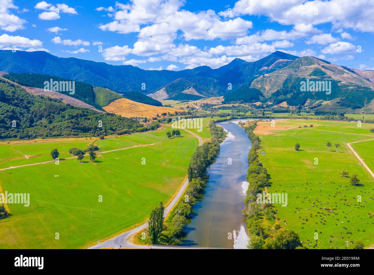 Landscape of New Zealand alongside Pelorus river Stock Photo - Alamy