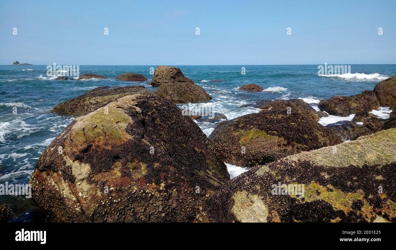 A lot of wet and dangerous rocks in a clean empty desert seashore with ...