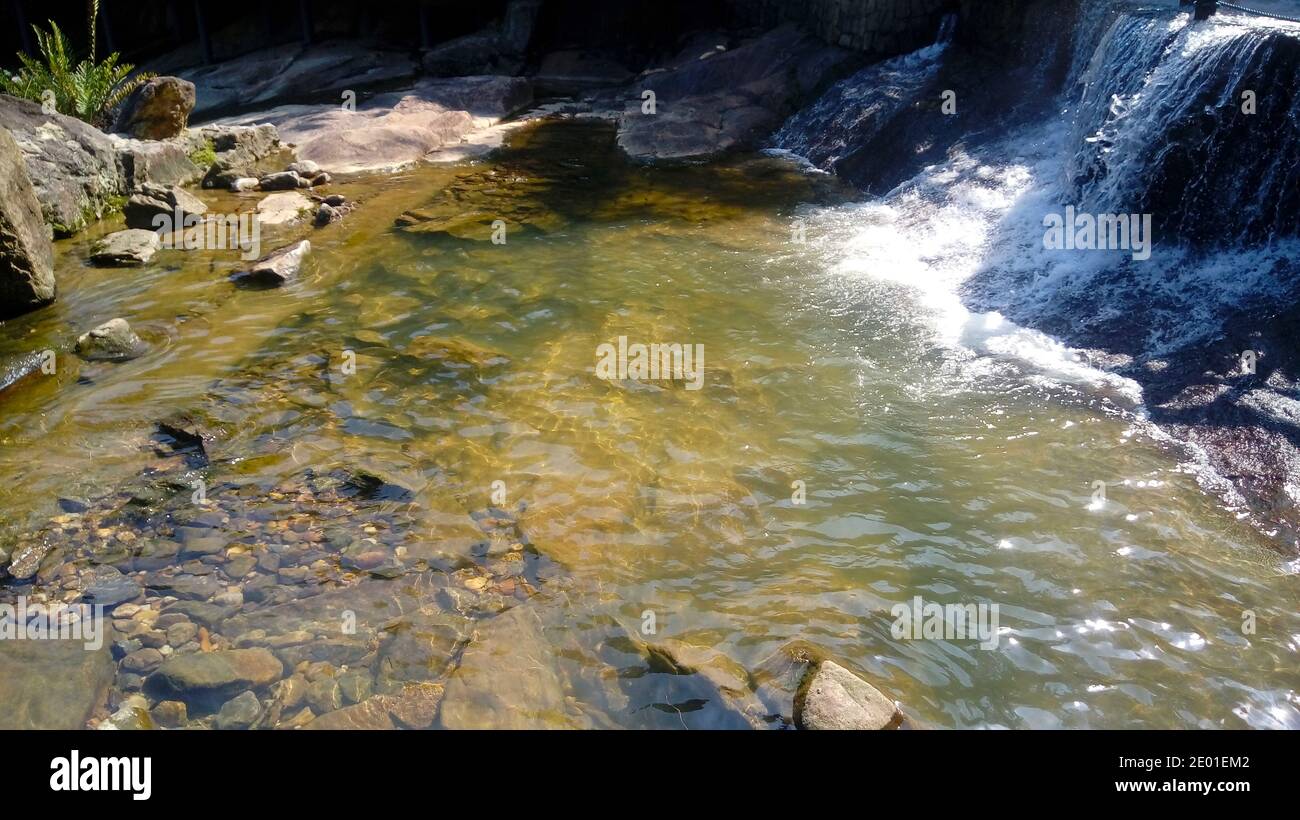 Waterfall water wildlife hi-res stock photography and images - Alamy