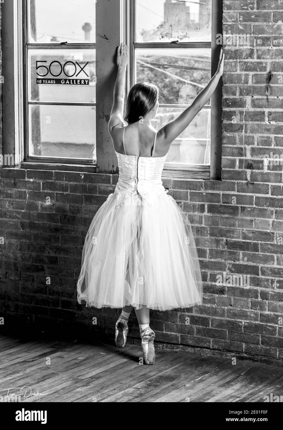 Feminine elegance hi-res stock photography and images - Alamy