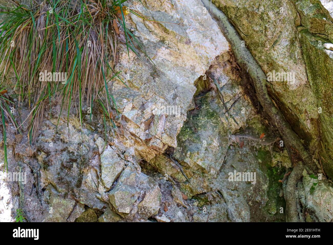 Fractured limestone rock hi-res stock photography and images - Alamy