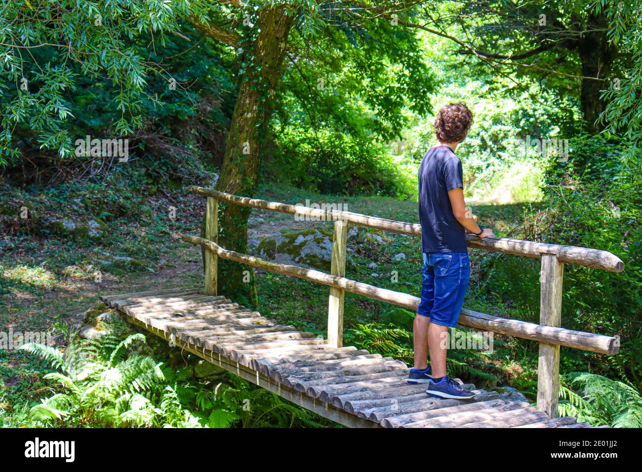 boy on wooden bridge in the forest path Stock Photo - Alamy