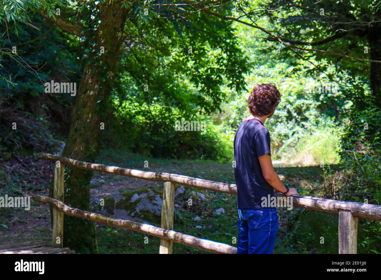 boy on wooden bridge in the forest path Stock Photo - Alamy