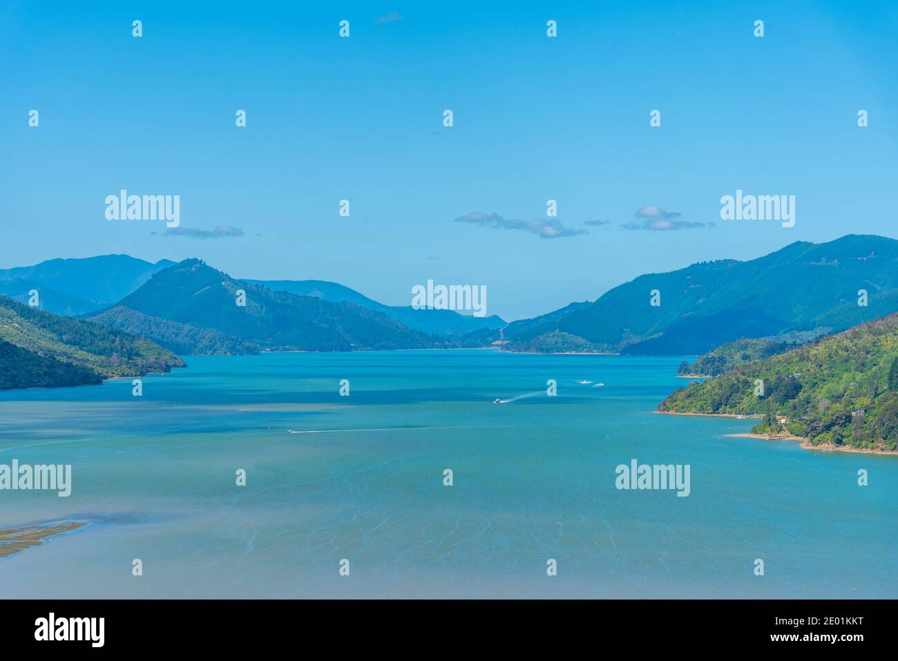 Pelorus sound in New Zealand Stock Photo - Alamy