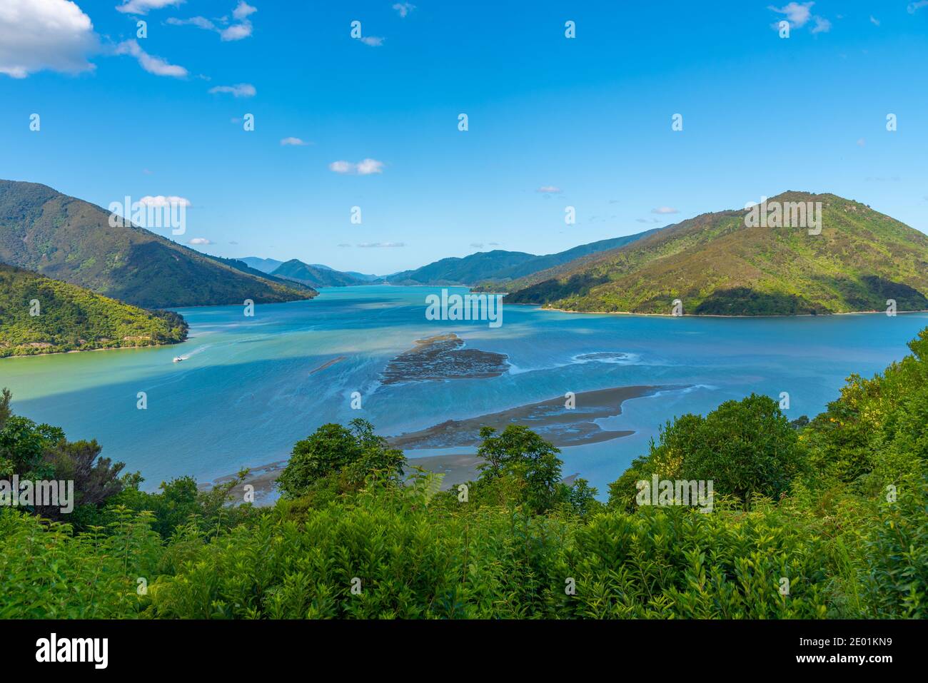 Pelorus sound in New Zealand Stock Photo - Alamy