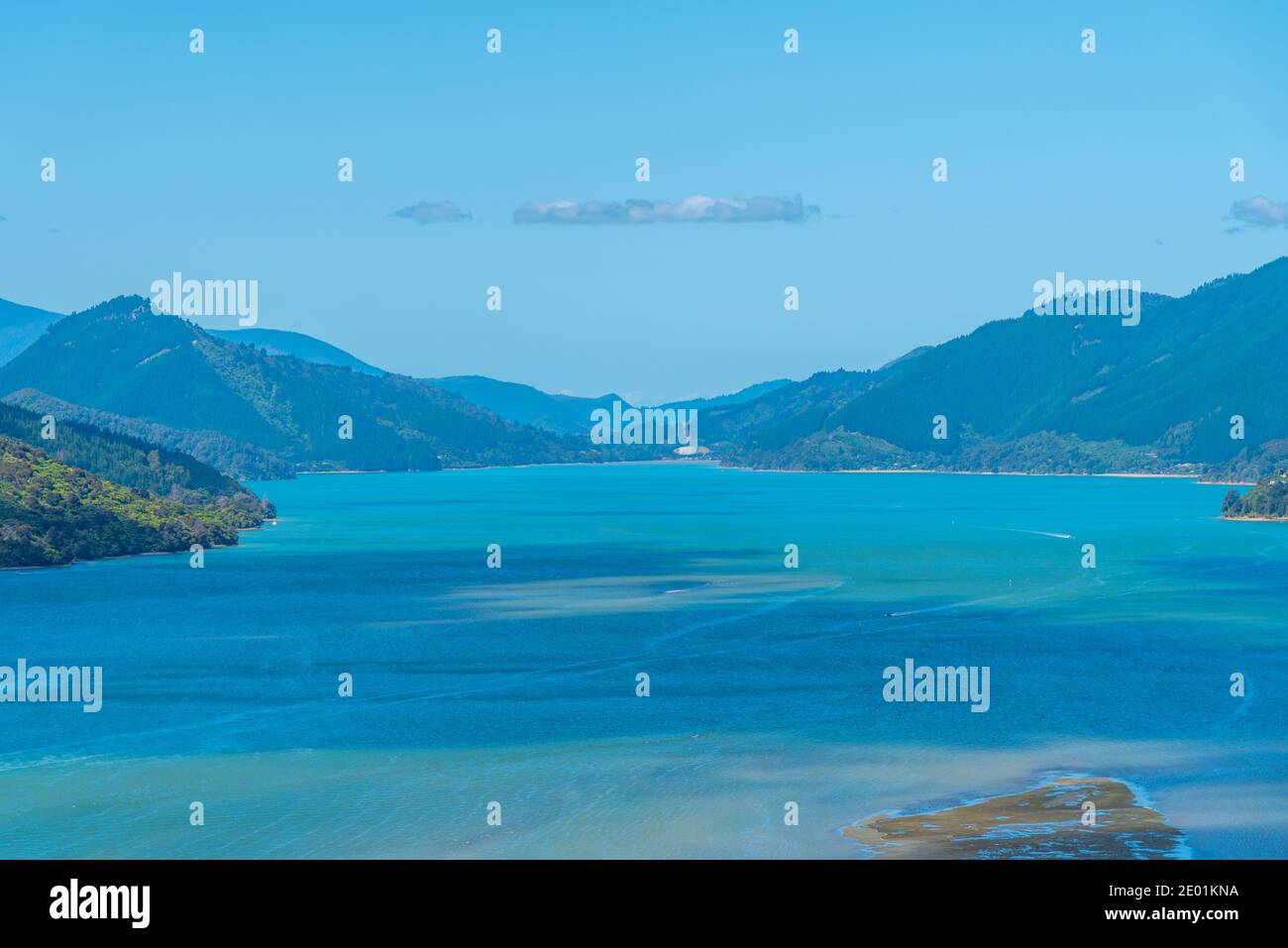 Pelorus sound in New Zealand Stock Photo - Alamy