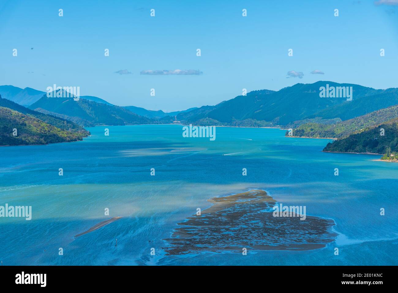 Pelorus sound in New Zealand Stock Photo - Alamy