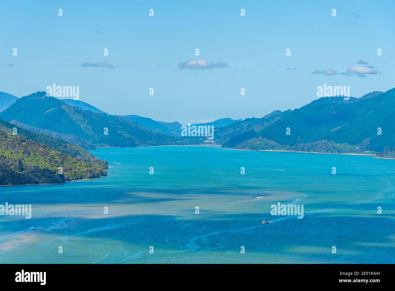 Pelorus sound in New Zealand Stock Photo - Alamy