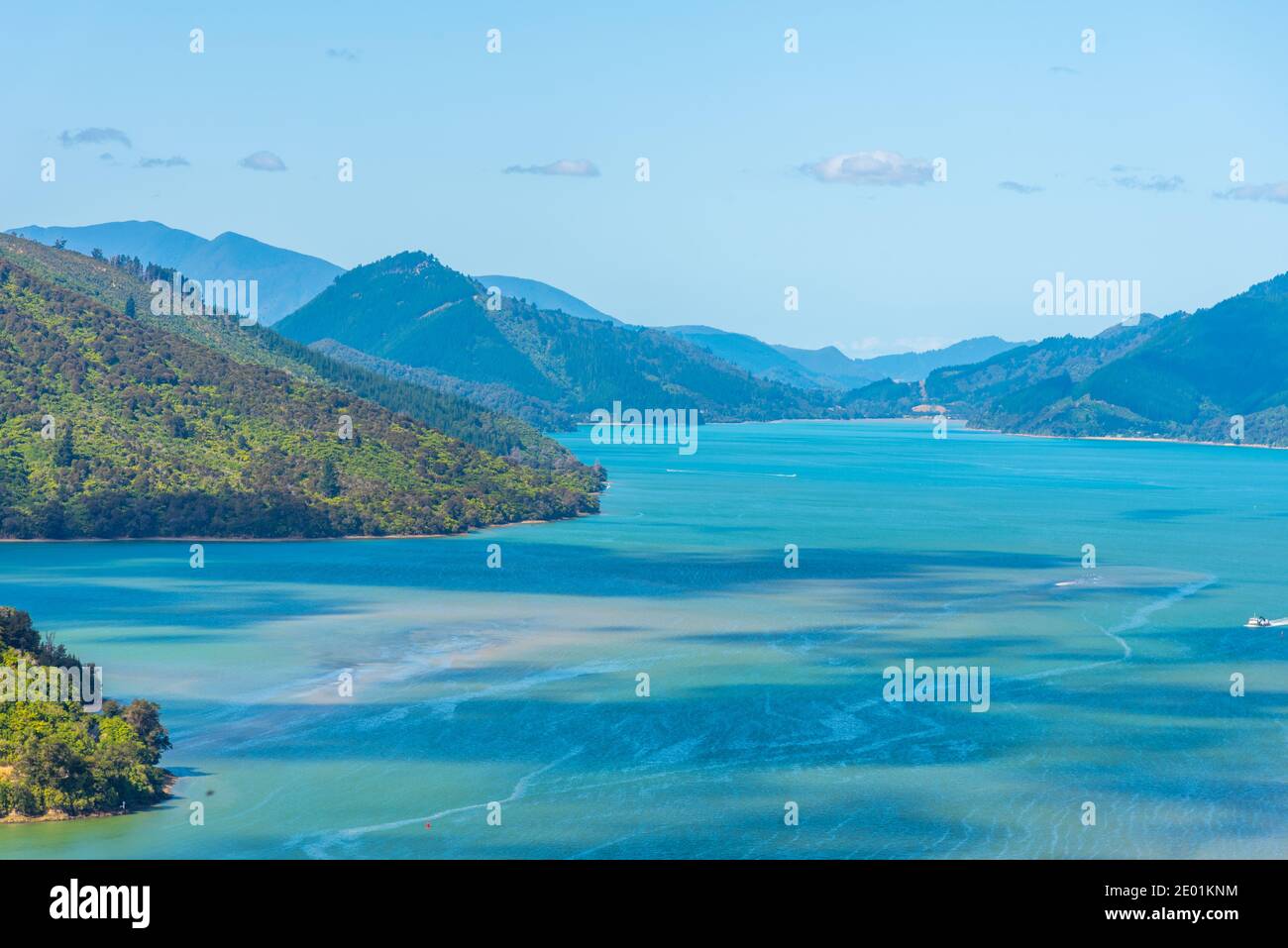 Pelorus sound in New Zealand Stock Photo - Alamy