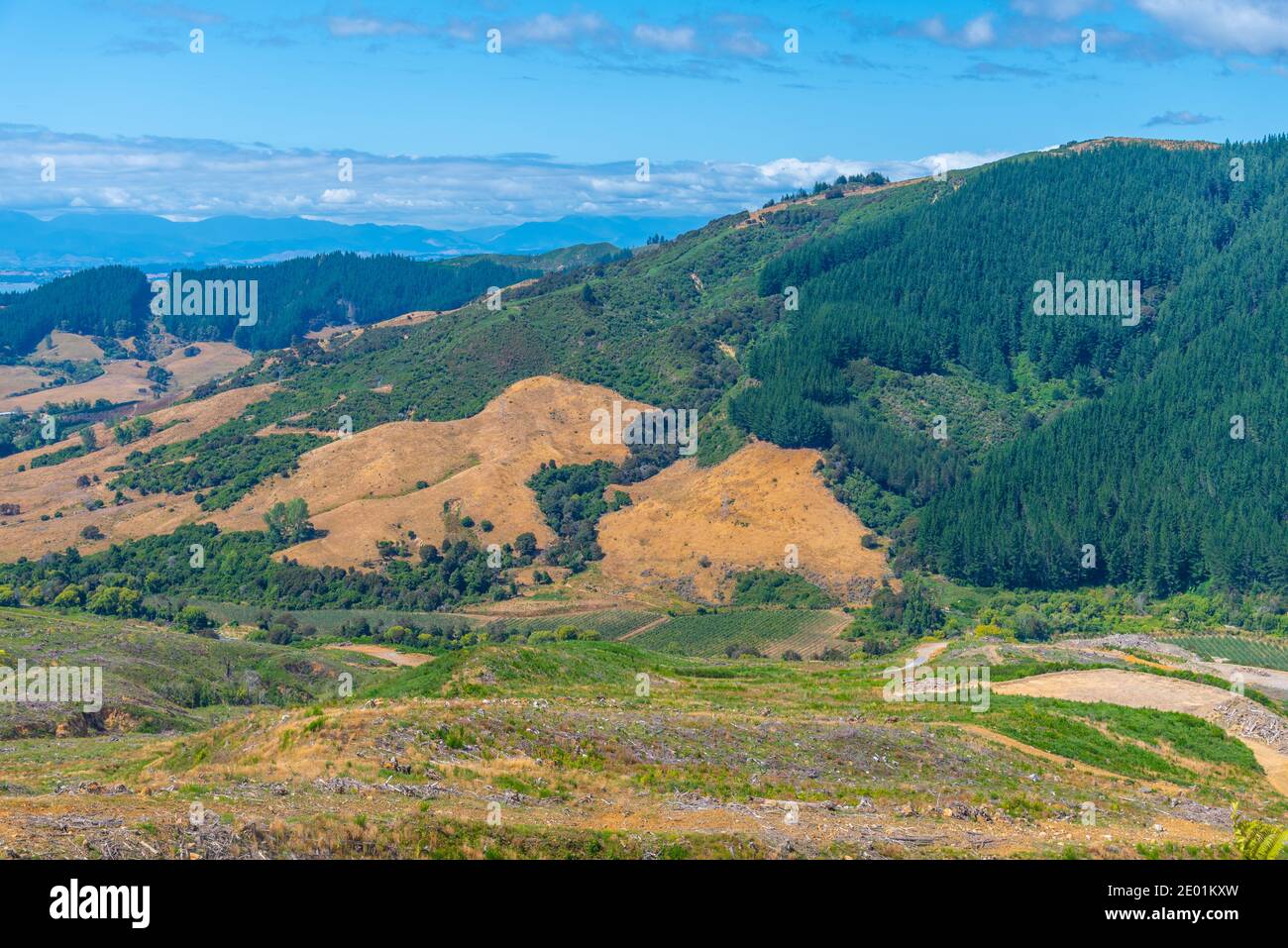 Takaka hill road hi-res stock photography and images - Alamy