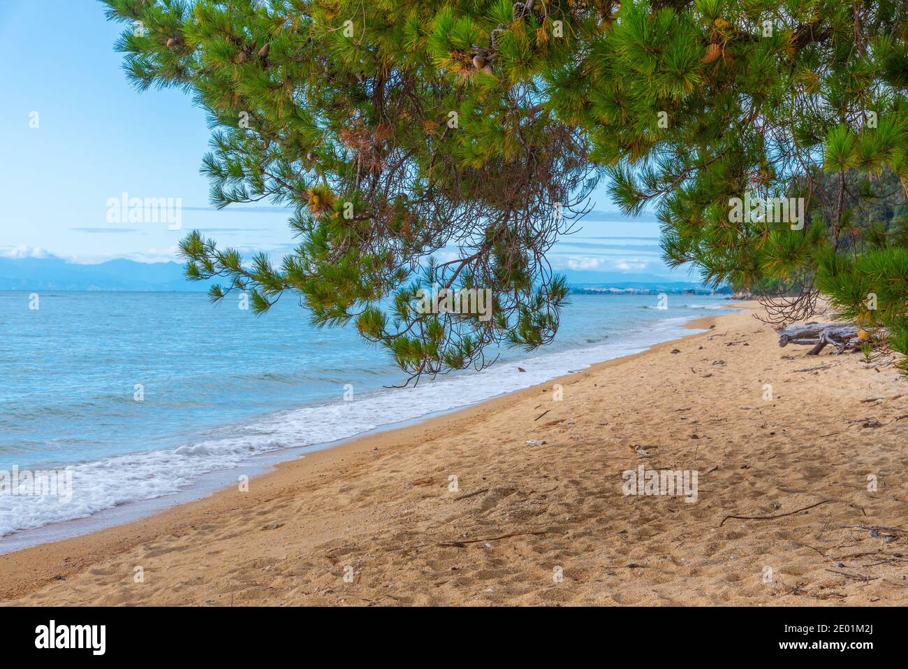 Apple tree bay beach at Abel Tasman national park in New Zealand Stock ...