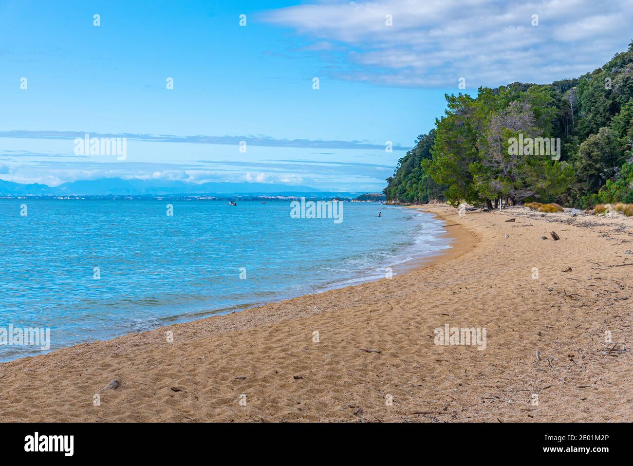 Apple tree bay beach at Abel Tasman national park in New Zealand Stock ...