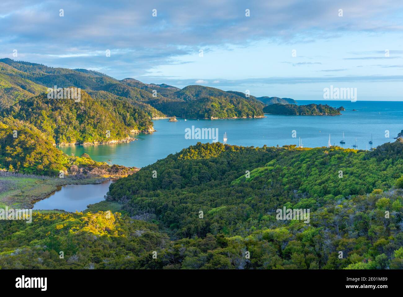 Aerial view of Torrent bay at Abel Tasman national park in New Zealand ...