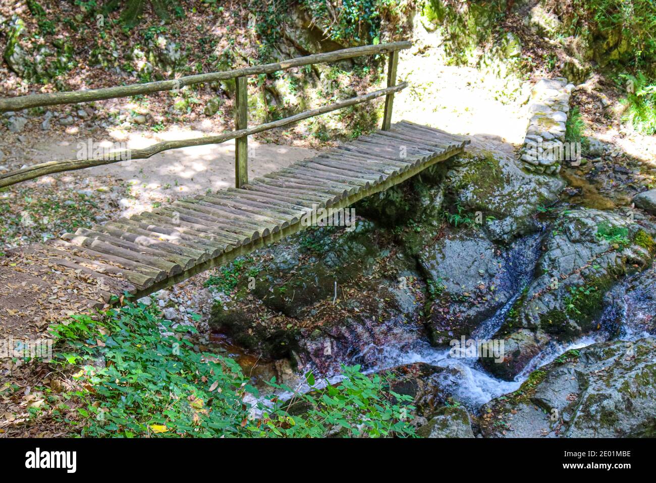 wooden bridge in the forest full of trees and river with footpath Stock ...