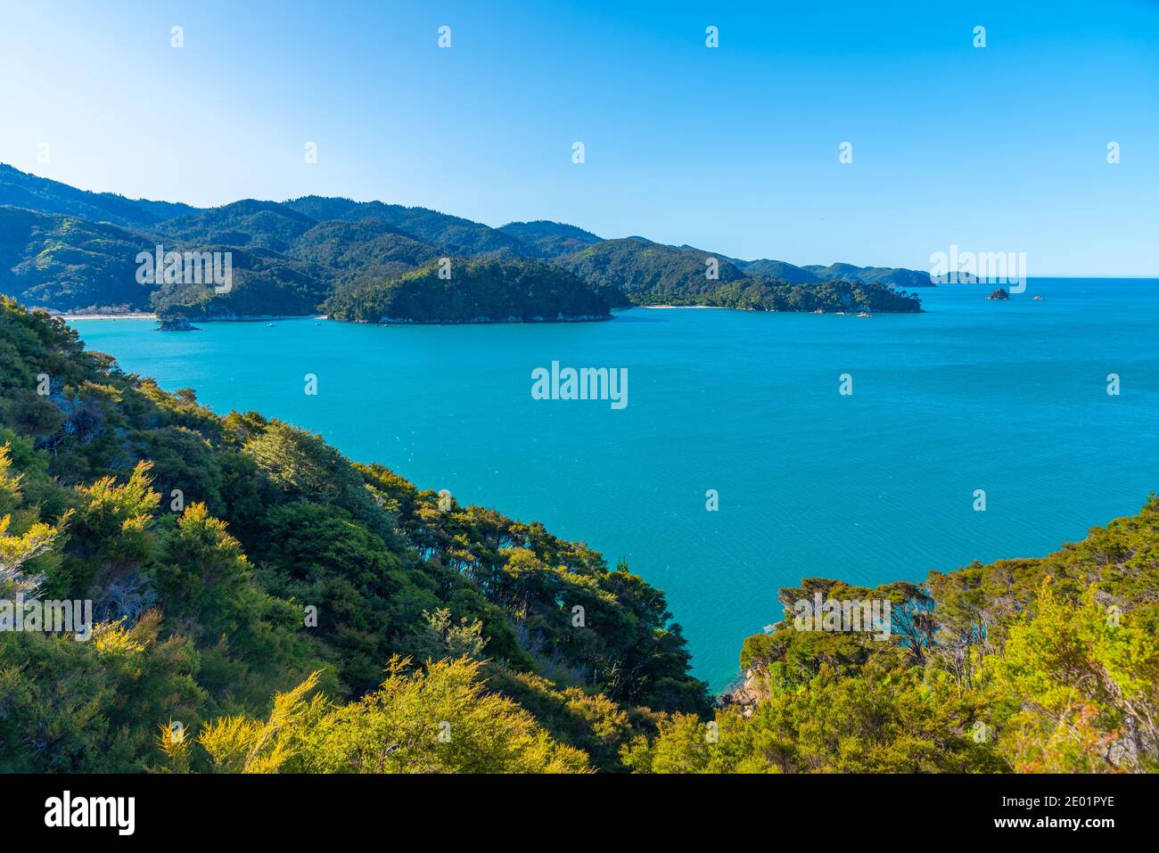 Torrent bay at Abel Tasman national park in New Zealand Stock Photo - Alamy