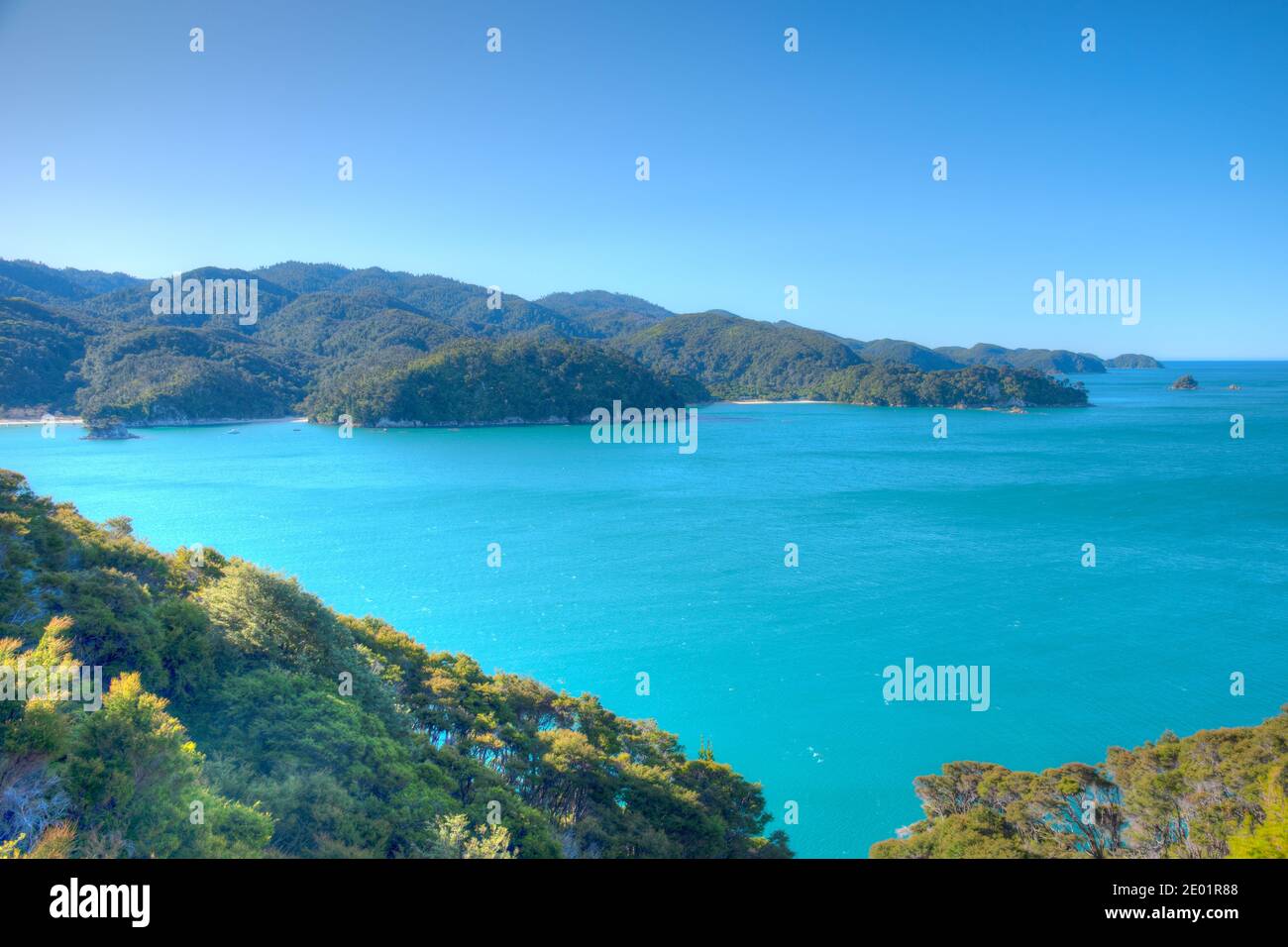Torrent bay at Abel Tasman national park in New Zealand Stock Photo - Alamy