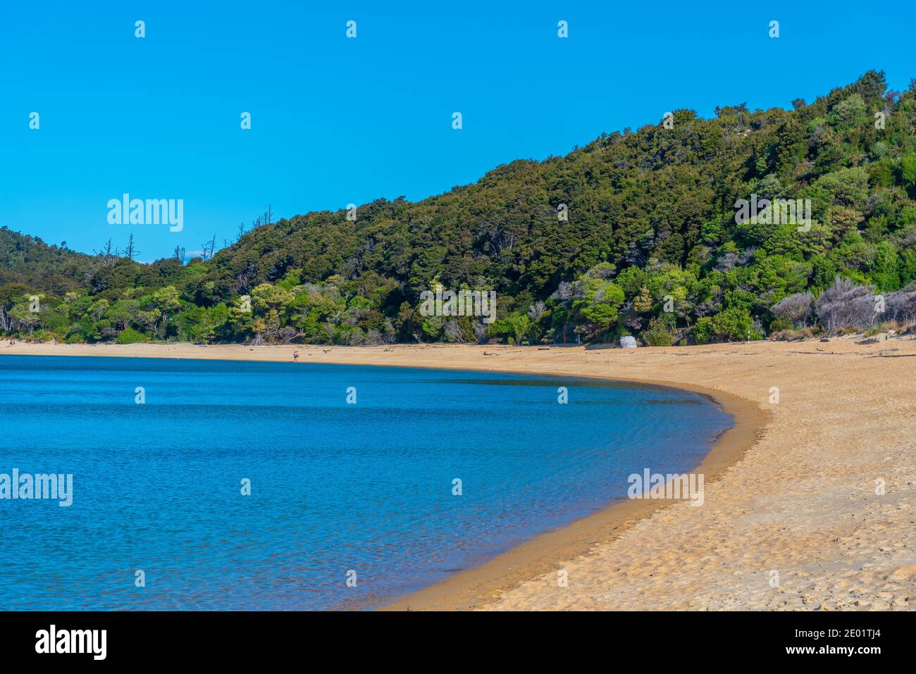 Anchorage beach at Abel Tasman national park in New Zealand Stock Photo ...